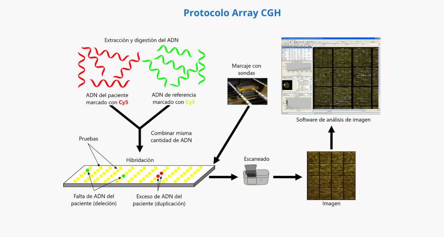Array CHG en la práctica clínica | Genosalut