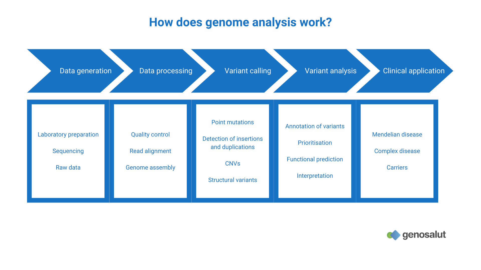 Genome analysis in clinical practice | Genosalut