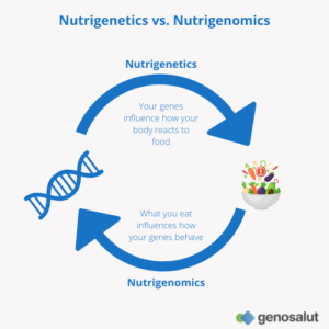 Nutrigenetics and nutrigenomics: nutrition, diet and intolerances ...