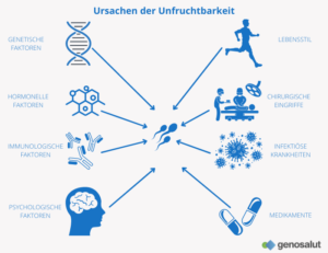 Männliche Unfruchtbarkeit: Die wichtigsten genetischen Ursachen | Genosalut